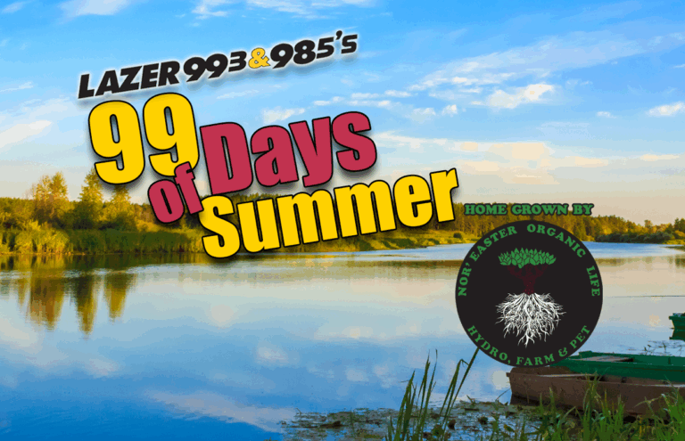 Lazer 99.3 & 98.5 | Everything that Rocks